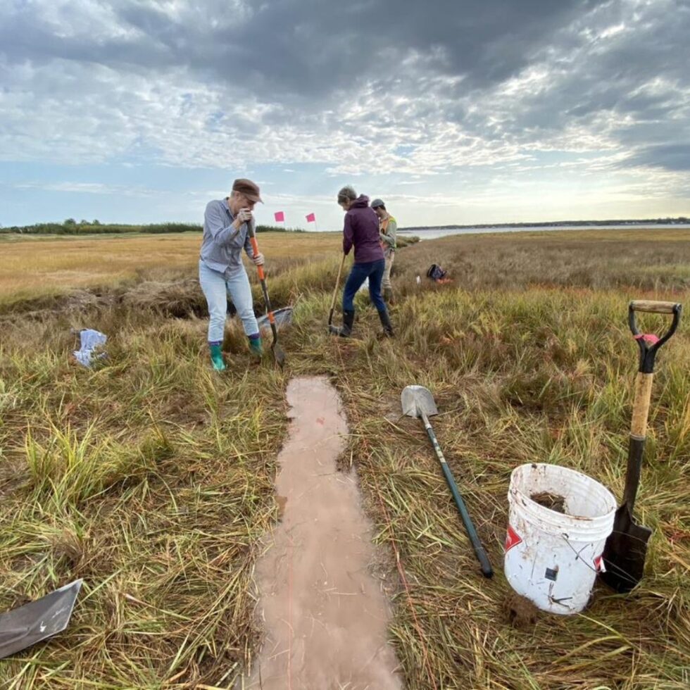 Clean Coasts - Resources - Clean Foundation